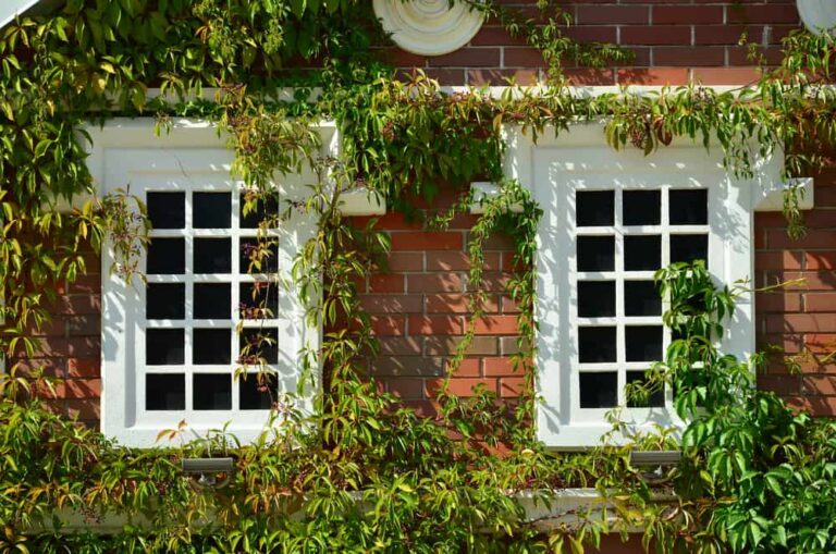 Replacing windows in a conservation area: A complete guide | GreenMatch ...
