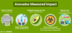 Is Avocado Bad For The Environment? Stats, Trends And Facts