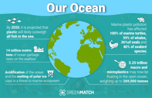 2024 Update: Key Facts and Trends on Ocean Pollution