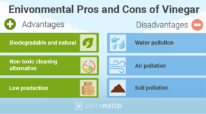 Is Vinegar Bad For The Environment? Statistics, Facts & Quotes